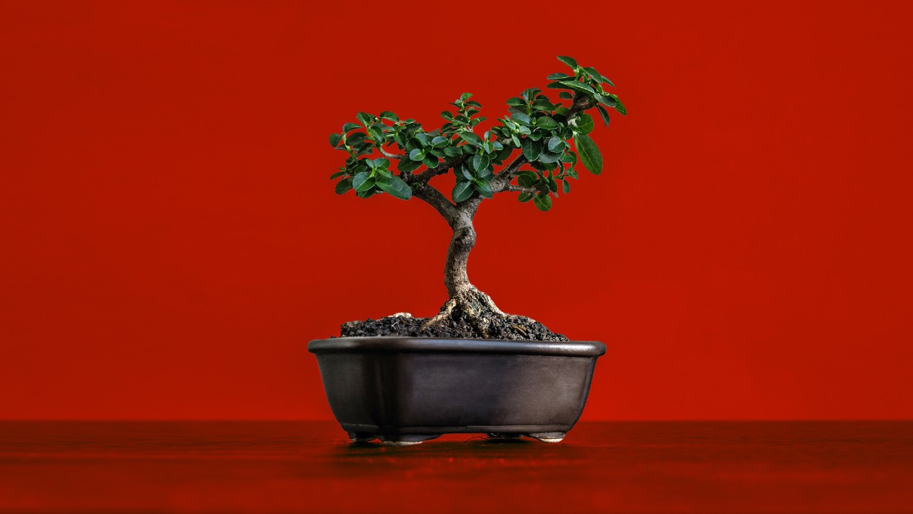 Stocks And Shares ISA | Investment ISA - HSBC UK